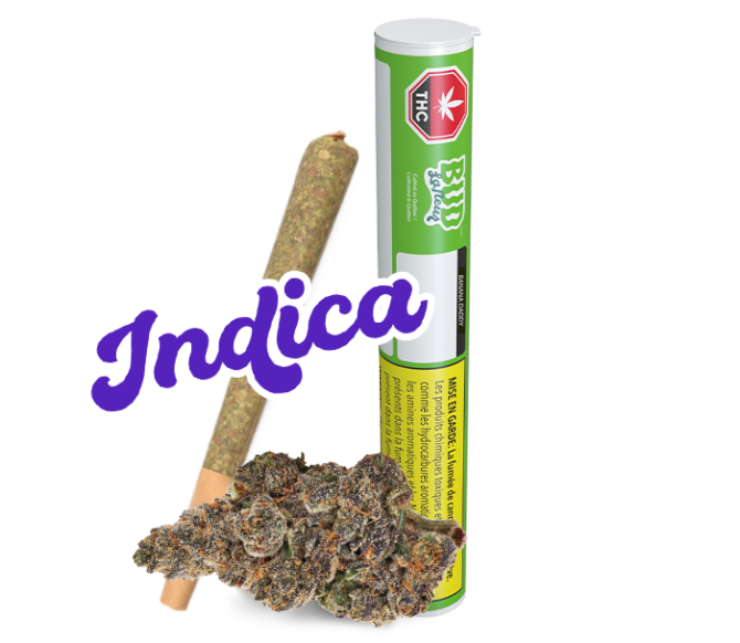 Banana Daddy Archives Bud Lafleur